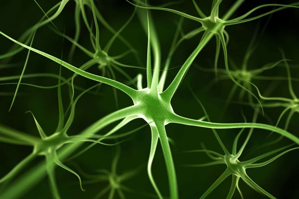 The Incredible Benefits for Omega 3 Derived From Algae